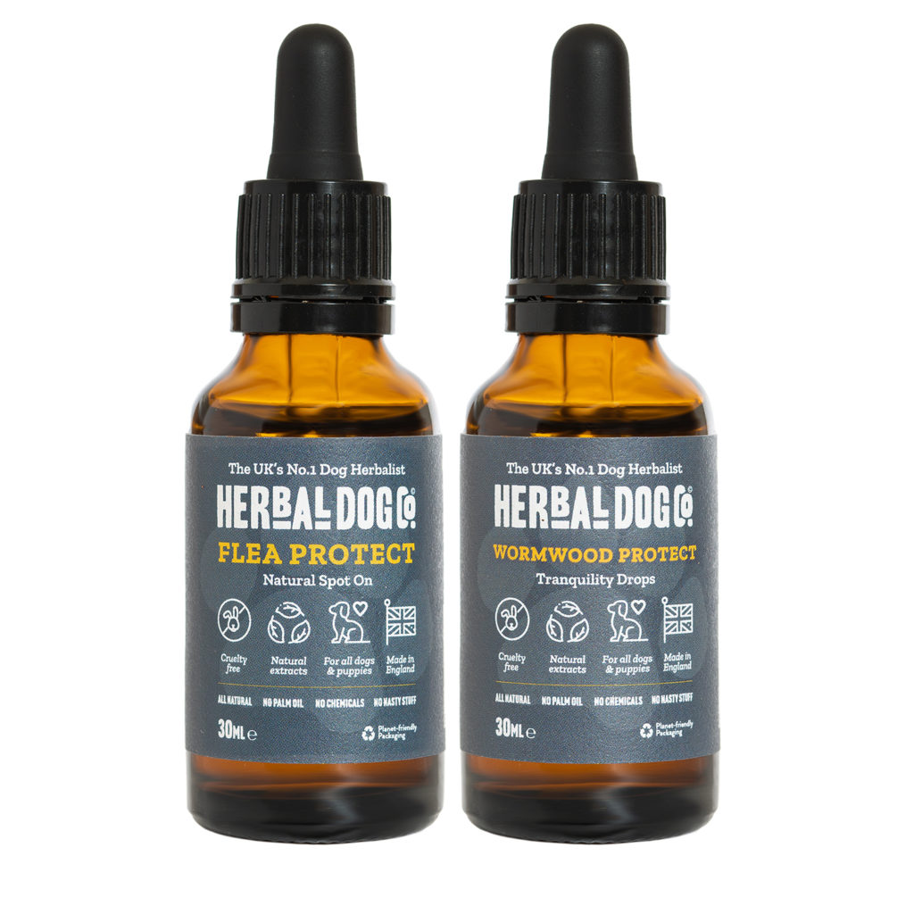 Calming tonic acts fast, reduces stress, anxious/ hyperactive dogs ...